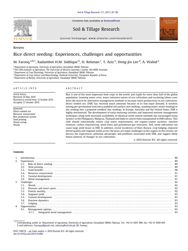 Direct Seeding in Rice Farming: Insights | PDF | Rice | Sowing