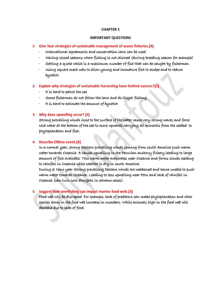 CHAPTER 5 Questions PDF | PDF