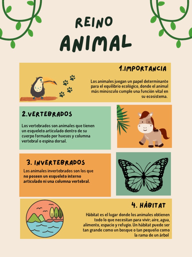 Reino Animal PDF | PDF