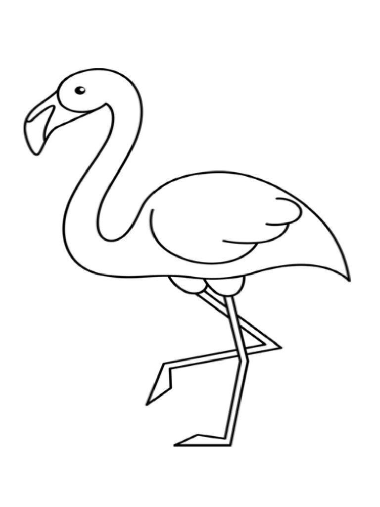 flamingo | PDF