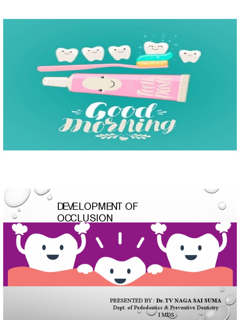 OCCLUSION PPT BY Dr. Suma | PDF | Dental Anatomy | Mouth