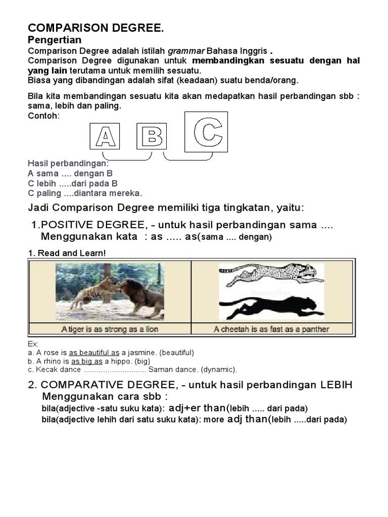 Understanding Degrees of Comparison | PDF | Cost Of Living
