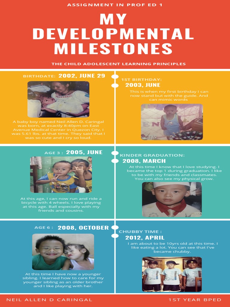 Colorful Career Timeline Infographic PDF | PDF | Family | Youth