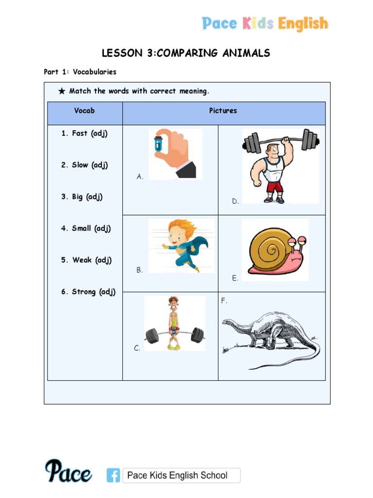 K2 3 Comparing-Animals | PDF