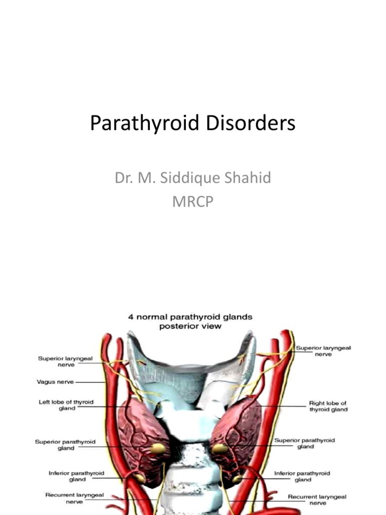 Understanding Parathyroid Disorders | PDF | Parathyroid Gland | Clinical Medicine