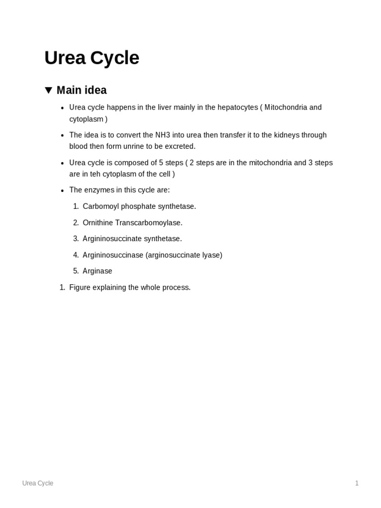 Urea Cycle | PDF