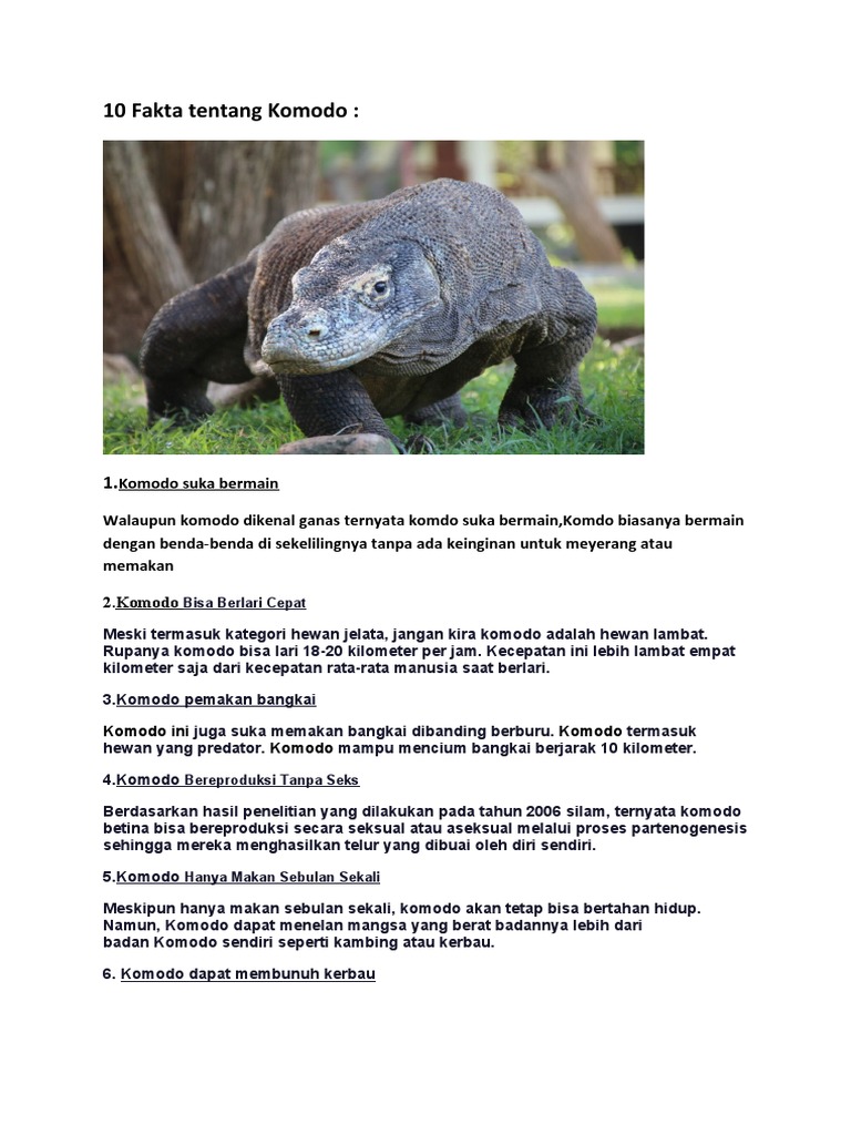 10 Fakta Tentang Komodo Pdf