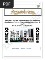 Présentation de La RADEEF | PDF | la communication