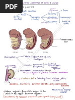 Gibson Incision | PDF