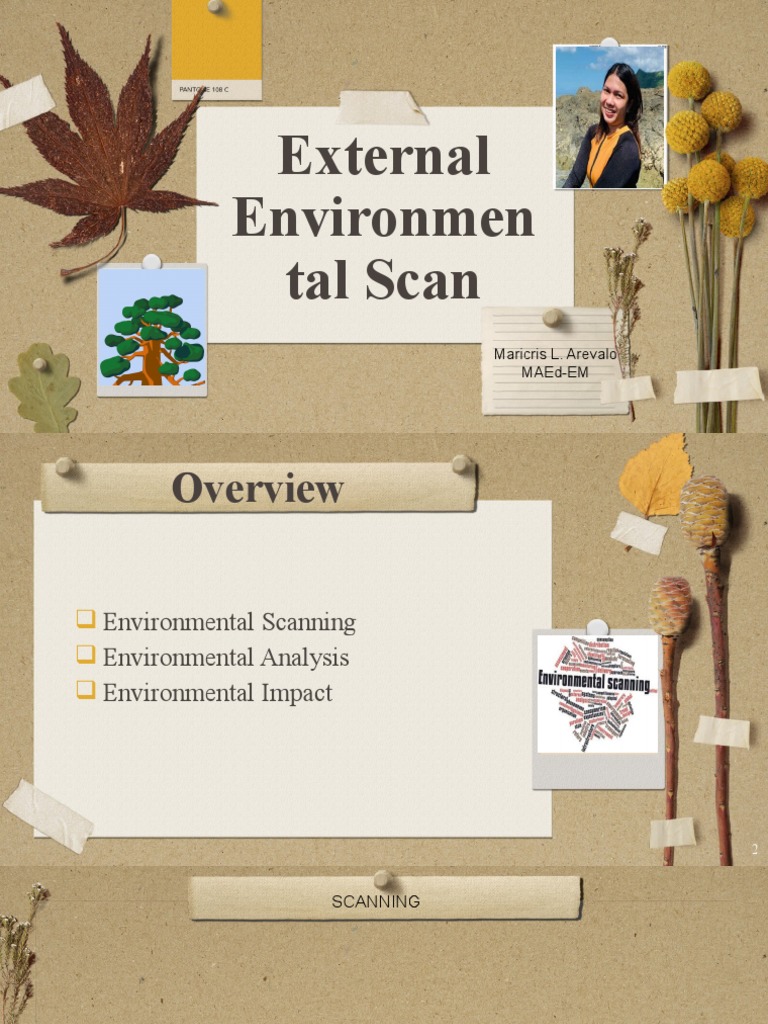 External Environmental Scan | PDF | Swot Analysis | Cognition