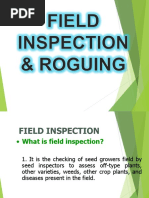 Rice Insect Pest & Their Management | PDF | Biological Pest Control | Rice