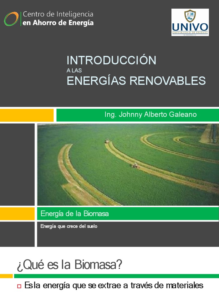 Energia de La Biomasa | PDF