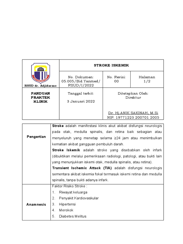 PPK STROKE ISKEMIK 2022fix | PDF
