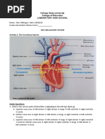 8-post-pci-sheath-removal-protocolpdf | PDF | Percutaneous Coronary ...