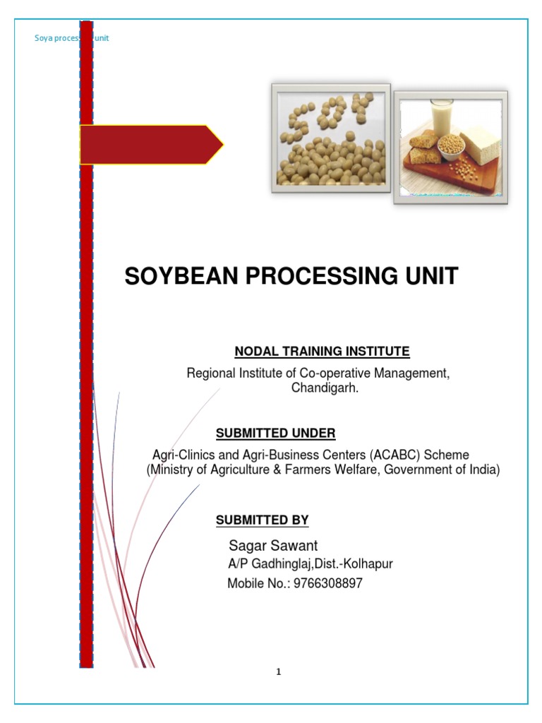 Soyabin Product DPR | PDF | Soy Milk | Soybean