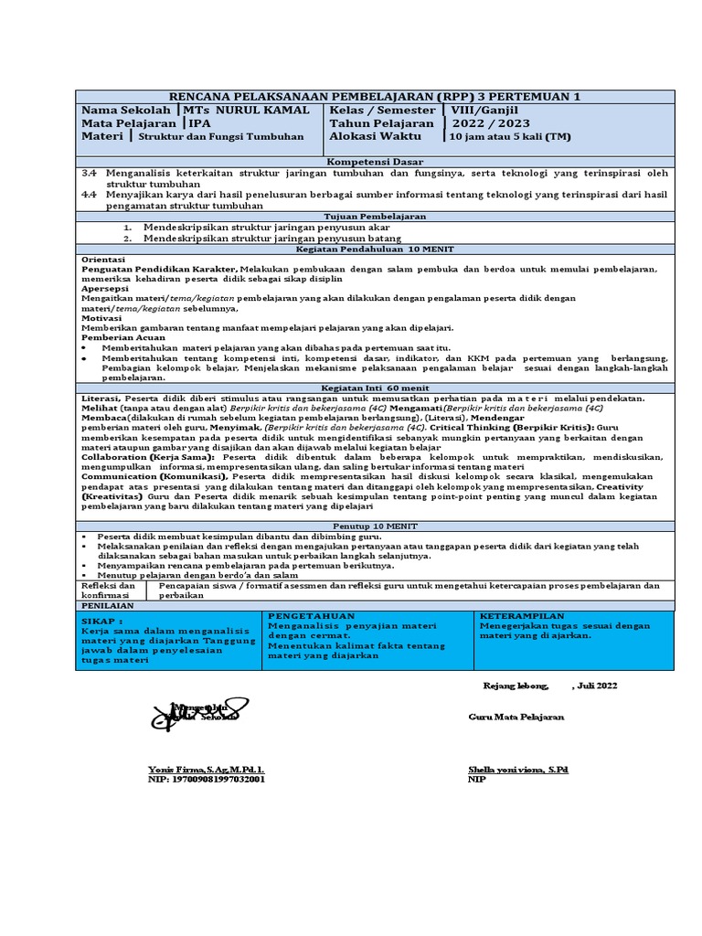 RPP 3 Struktur Dan Fungsi Tumbuhan | PDF