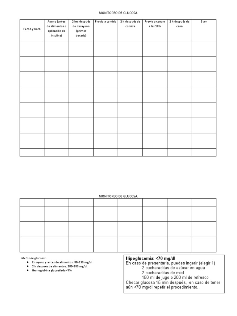 BITACORA DE GLUCOSAS (1) clau | PDF