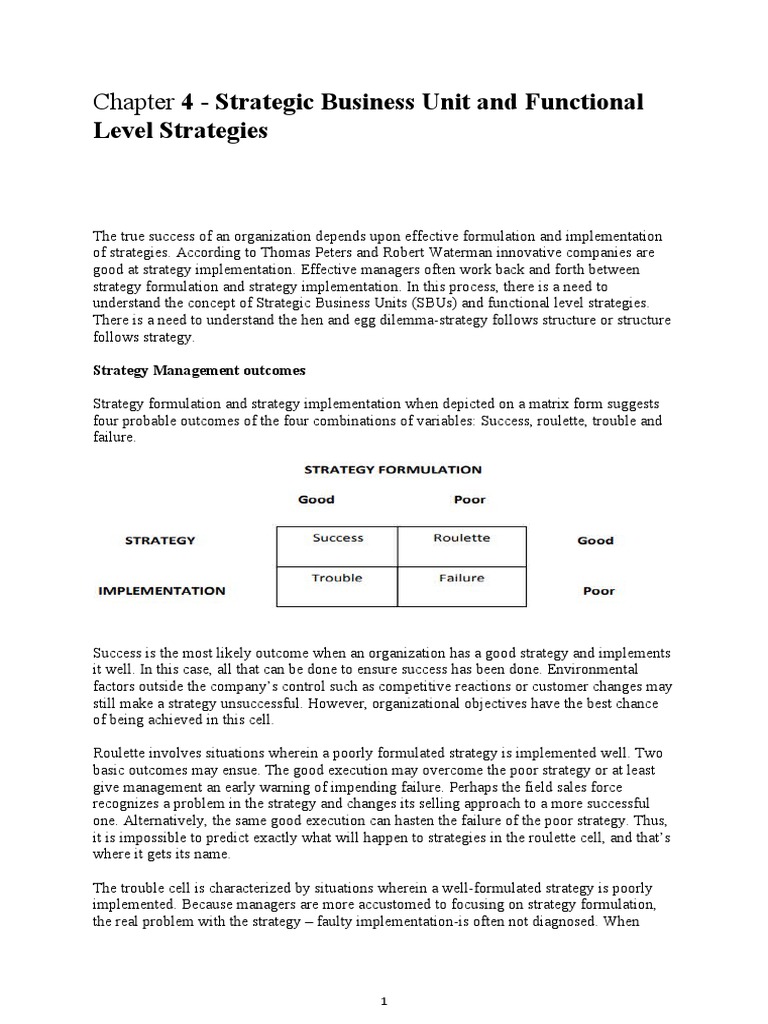SBU and Functional Strategy Insights | PDF | Strategic Management ...