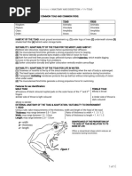 Toad External Anatomy Diagram | PDF | Vertebral Column | Vertebra