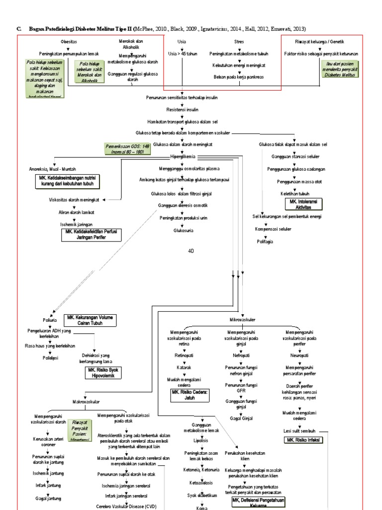 Patoflow Askep Lengkap DM Tipe II | PDF