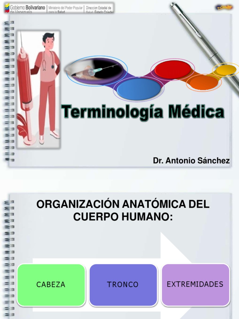 Terminologia Médica | PDF | Sangre | Hueso