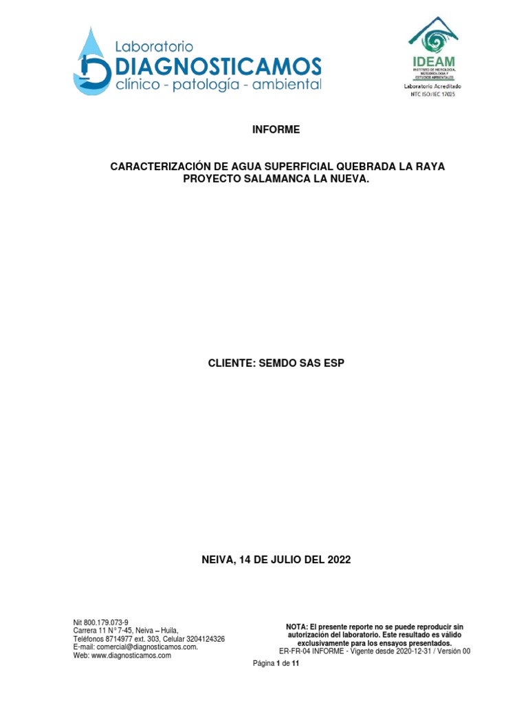 Informe ICA | PDF | Laboratorios | Ciencias fisicas