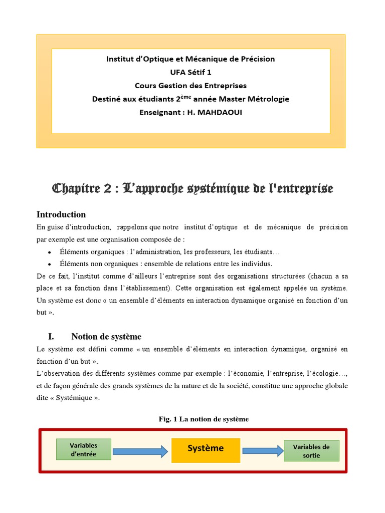 Approche systémique de l'entreprise | PDF | Business