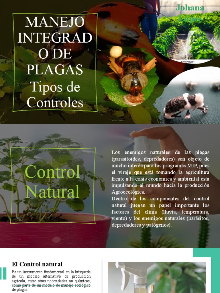 Tipos de Controles en El Mip | PDF | Plaga (organismo) | Biología