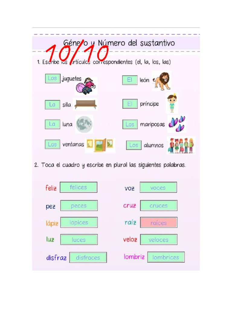 El Género y El Número Del Sustantivo 2 | PDF