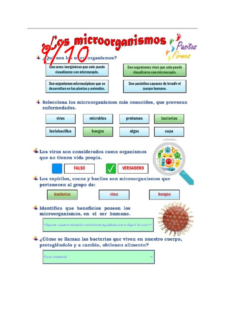 Las Bacterias | PDF