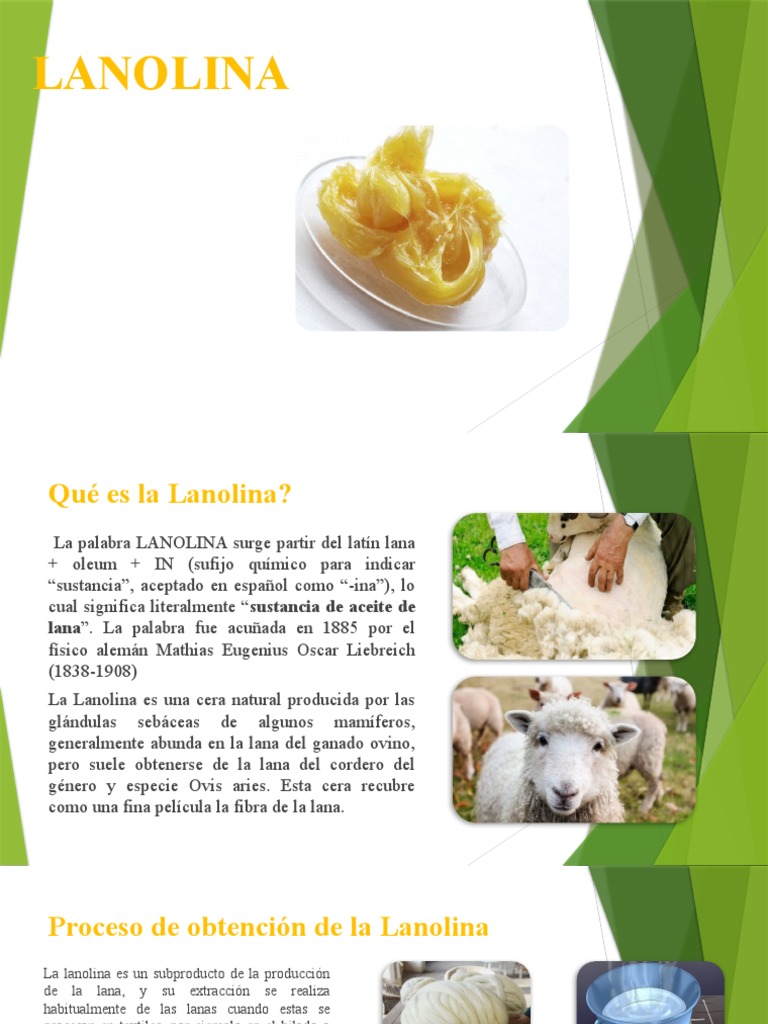 Propiedades y obtención de la lanolina | PDF