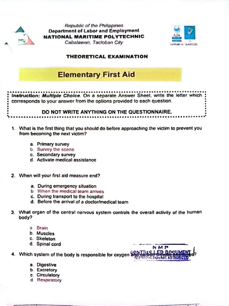 EFA EXAM | PDF