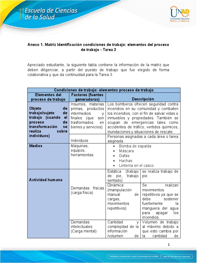Anexo 1 - Matriz Identificación Condiciones de Trabajo Elementos Del ...