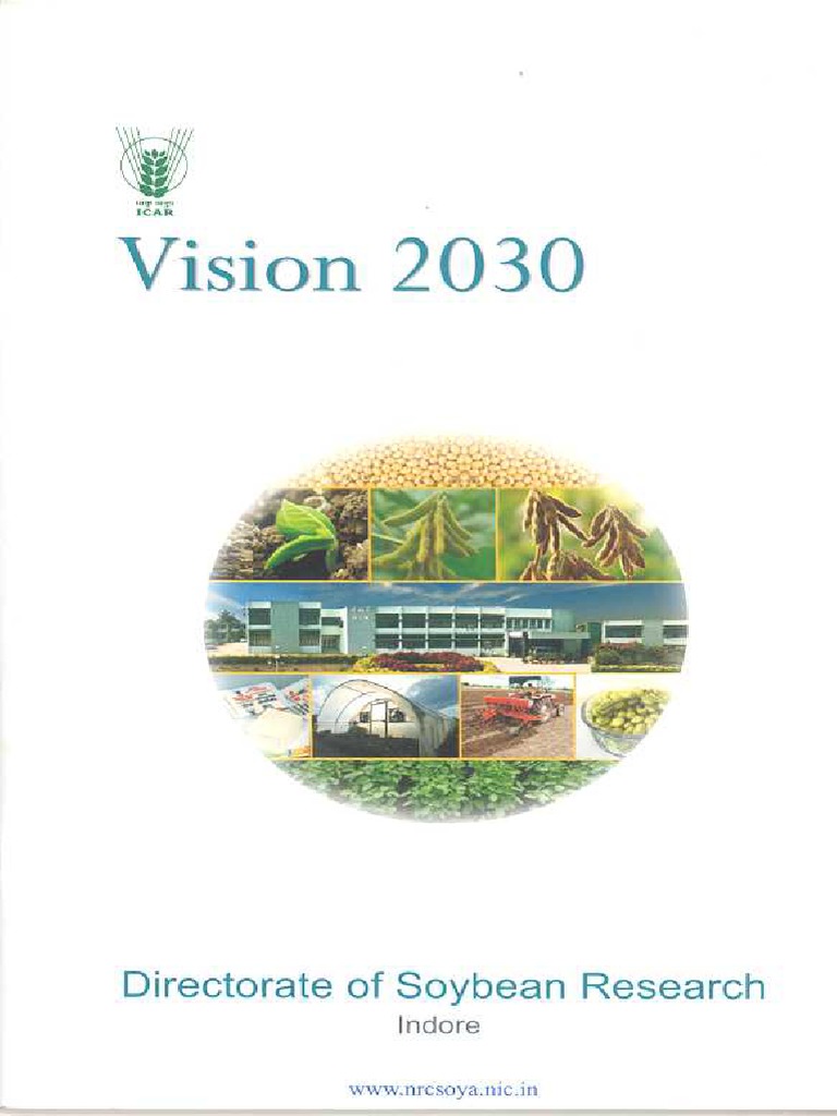 Vision 2030 | PDF