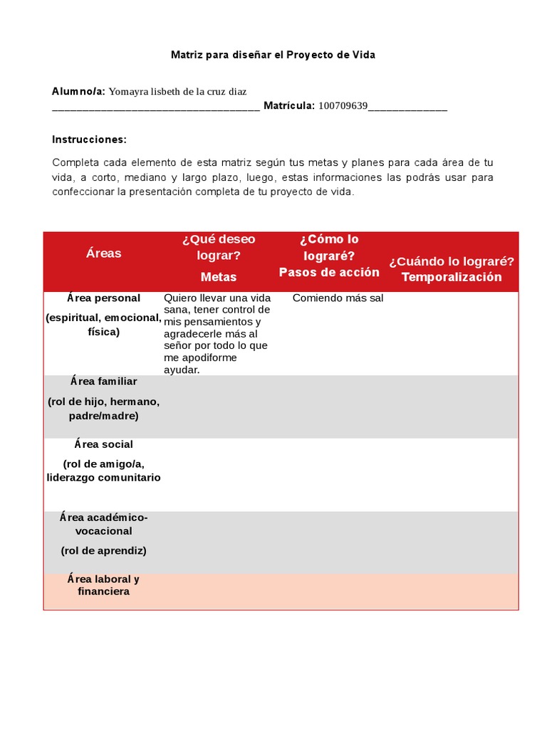 Copia de Matriz Proyecto de Vida Yomaira | PDF