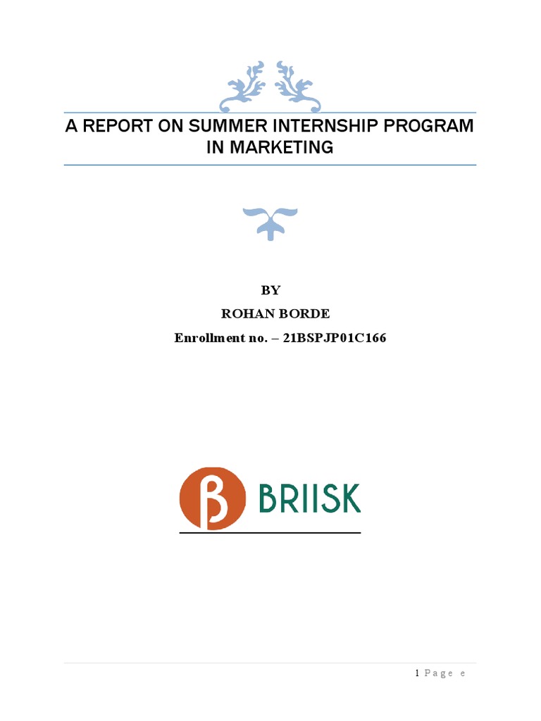 Customer Perception Study at Briisk | PDF | Insurance | Brand