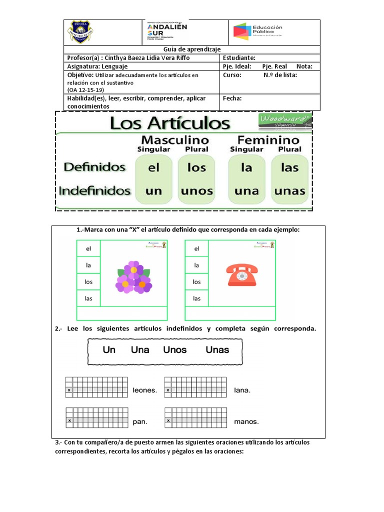 Guía sobre el uso adecuado de artículos definidos e indefinidos en ...