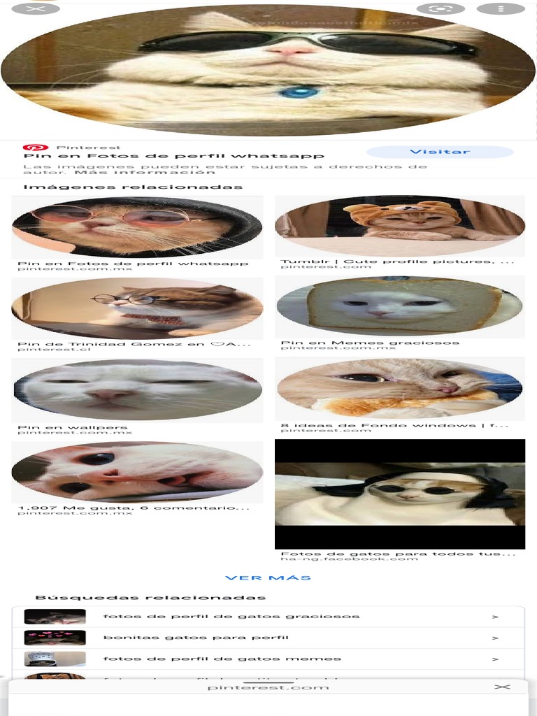 Fotos de Perfil Random - Búsqueda de Google PDF | PDF