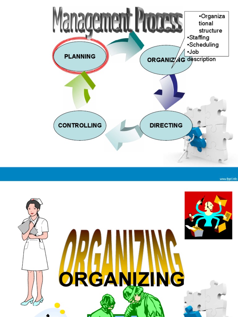 Management Process - Organizing | PDF | Organizational Structure | Nursing