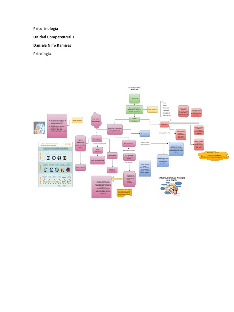 Mapas Mentales Psicofisiologia UC1 PDF | PDF | Crecimiento personal y profesional