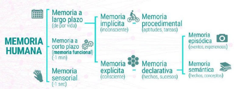 Esquema Tipos de Memoria - PNG | PDF