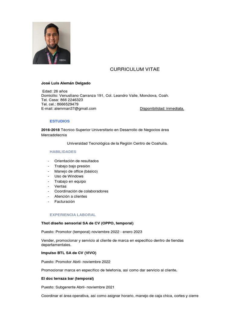 CV de José Luis Alemán Delgado | PDF | Negocios