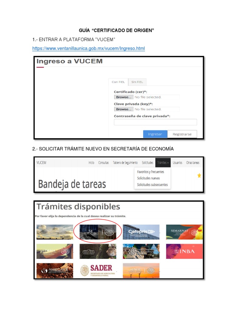 Guía - Certificados de Origen | PDF