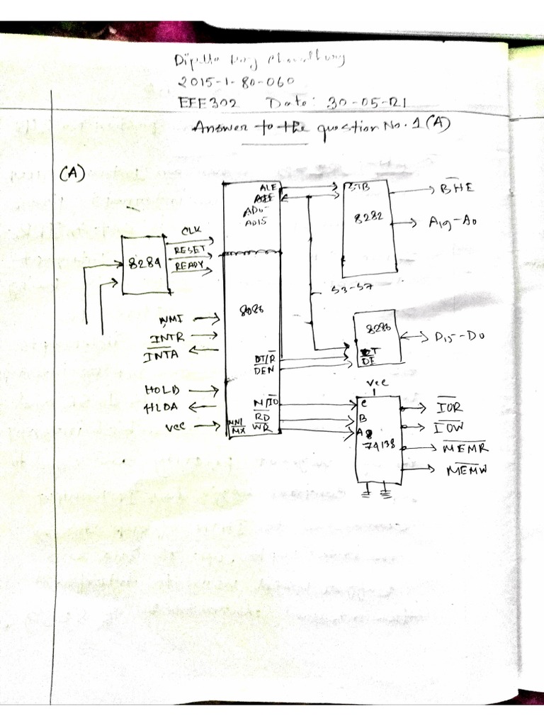 Orca Share Media1622372265355 6804722482070039438 PDF | PDF