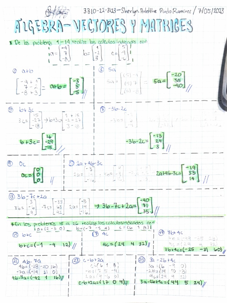 Vectores y Matrices | PDF
