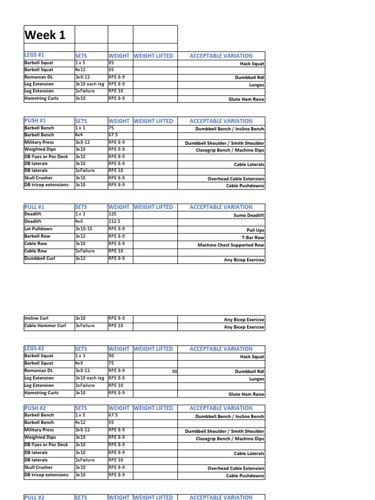 PPL Programme | PDF | Strength Training | Physical Exercise