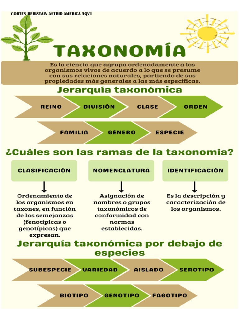 Infografía Taxonomía | PDF