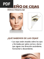 Tipos de Cejas - Trabajo Práctico | PDF | Ceja