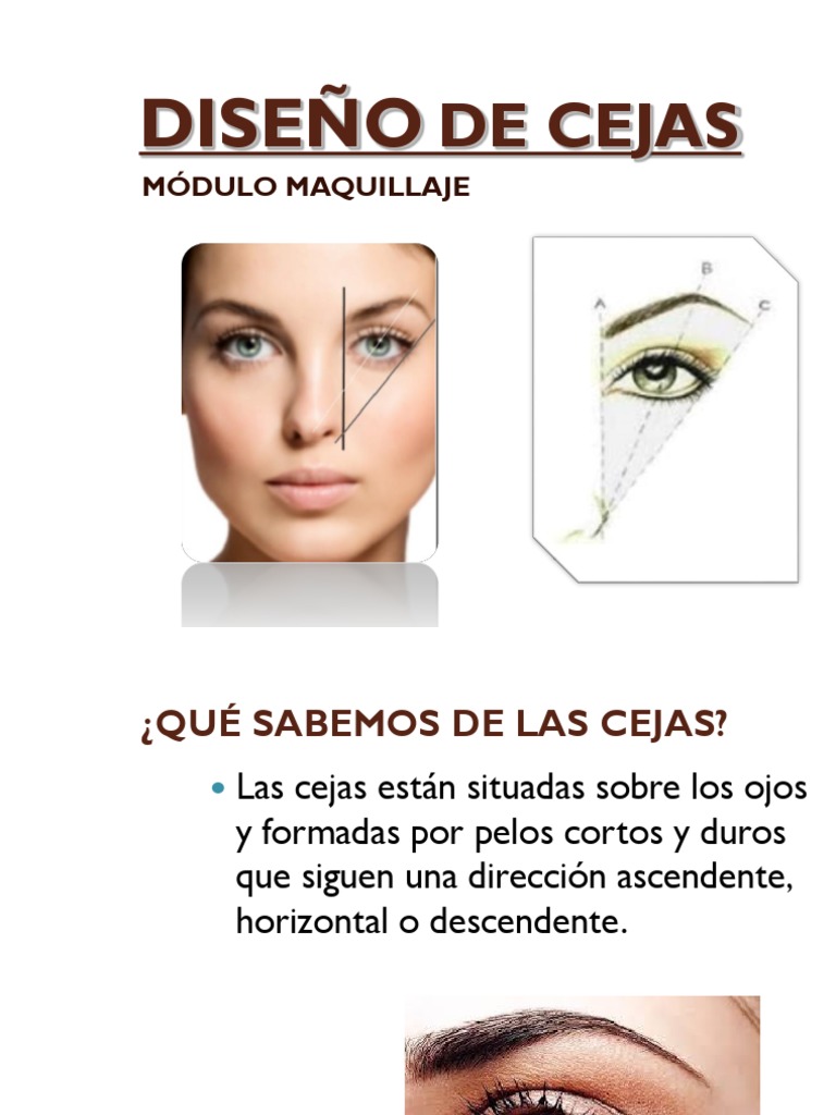 Diseño de Cejas | PDF | Ceja | Cara