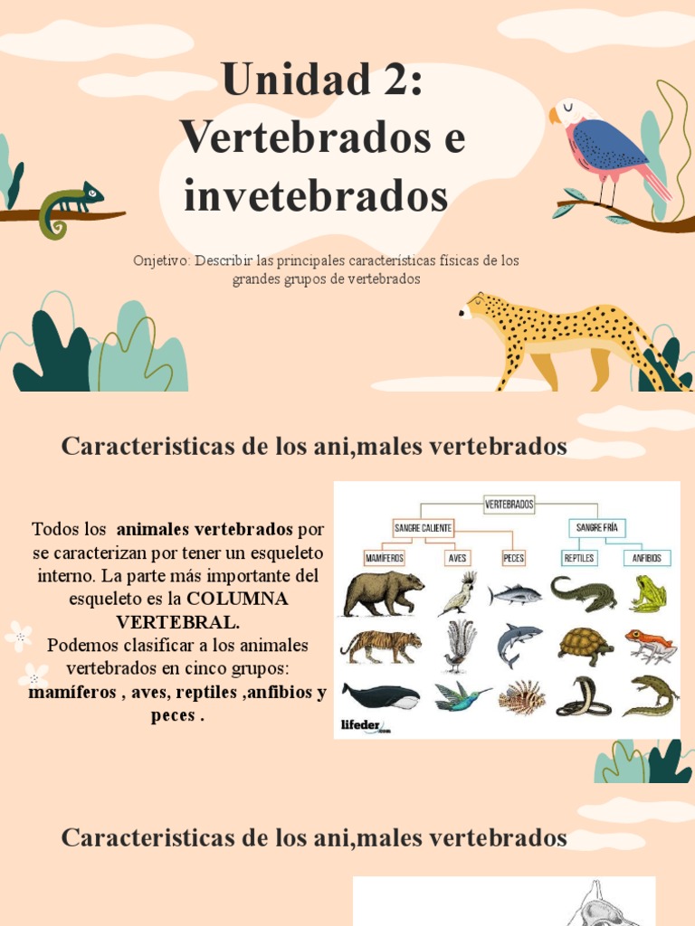 Animales Vertebrados | PDF
